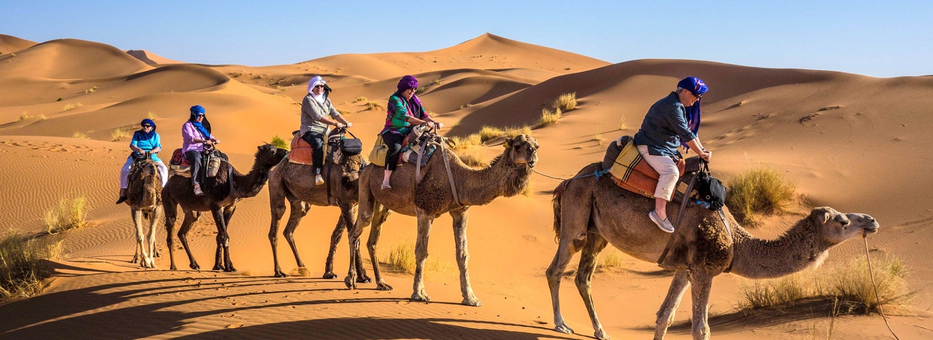 #1 Best Reviewed Marrakech Tours, Morocco Sahara Tours, 2022 Casablanca ...